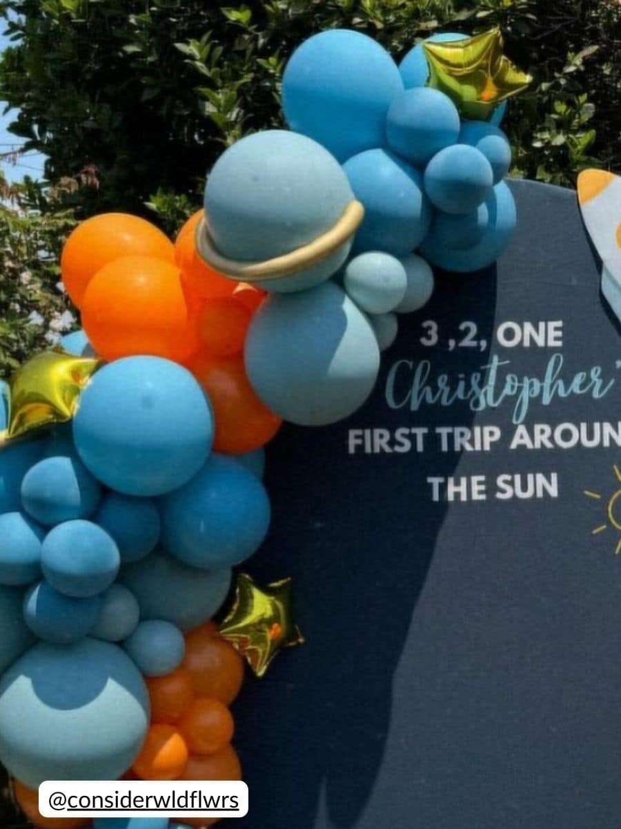 100+ First Trip Around the Sun Birthday Party Ideas