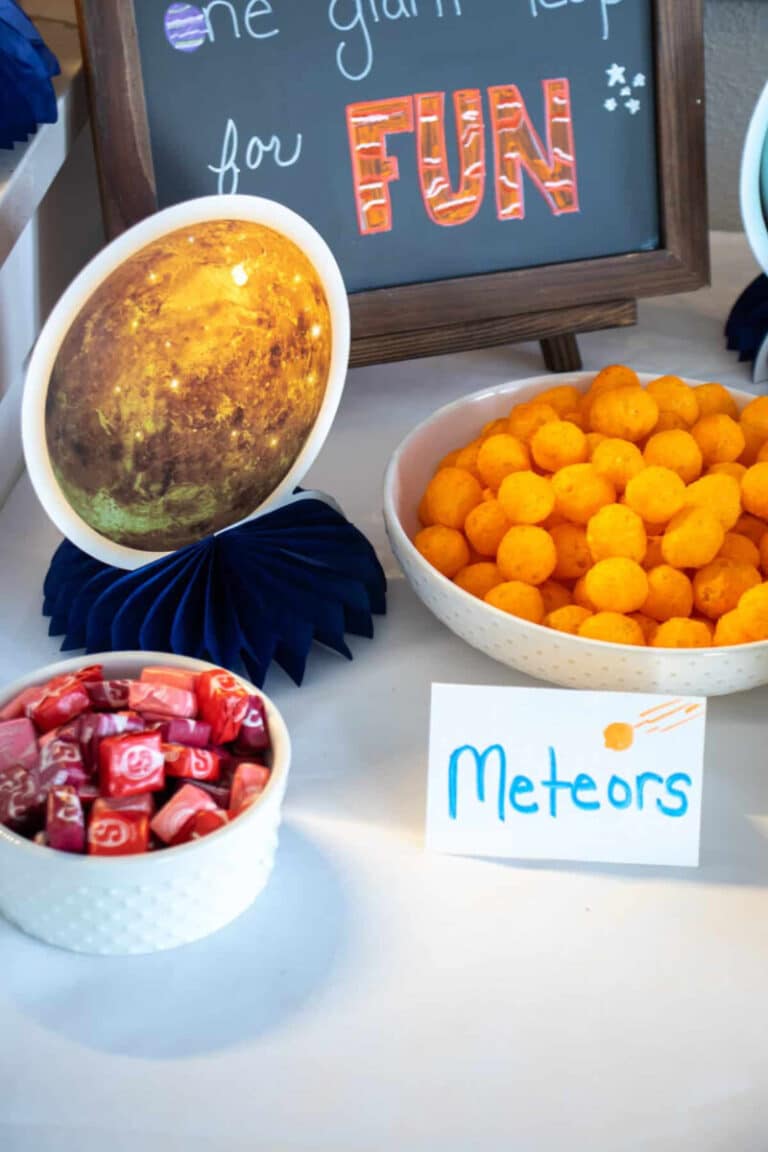 100+ First Trip Around the Sun Birthday Party Ideas