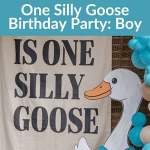 One Silly Goose Birthday Party Guide: Simple, Fun, and Adorable Ideas ...