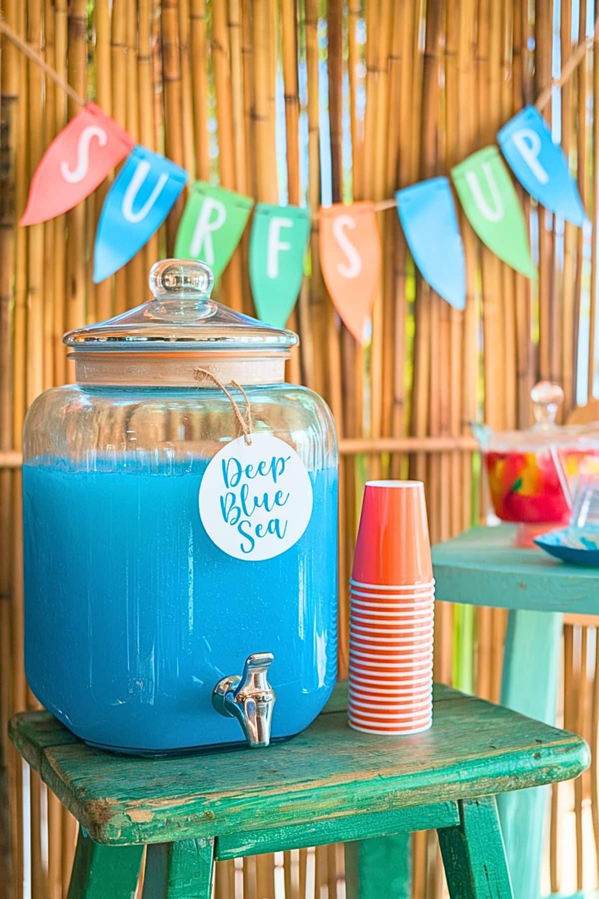 ULTIMATE Guide to The Big One Surf Birthday Party