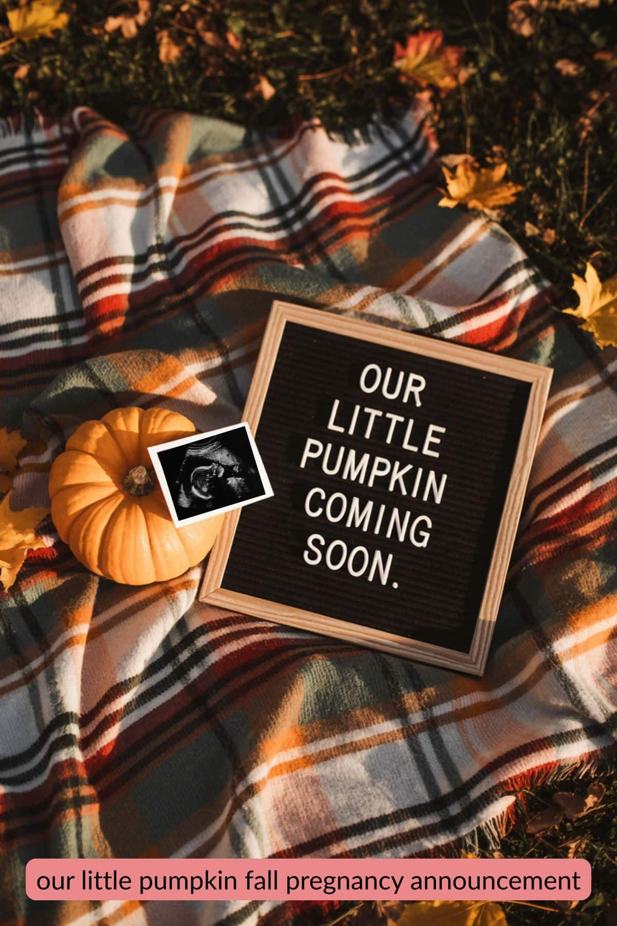 25+ Cozy & Creative Fall Pregnancy Announcement Ideas