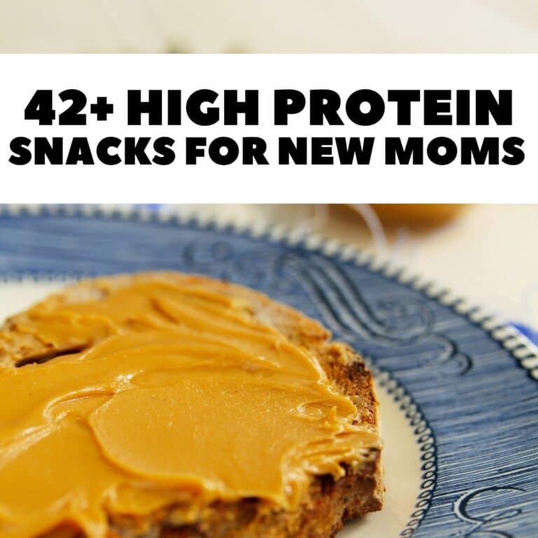 42 High Protein Snacks for New Moms, Breastfeeding Moms, and Postpartum ...